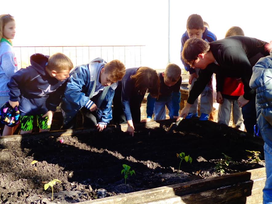 Planting Trees and Growing Solutions. It's Memory Trees. - The Story of ...